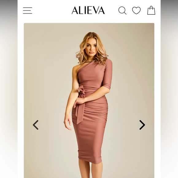 ALIEVA | Dresses | Alieva Dolly Elegant Bodycon Dress Rosy Brown | Poshmark